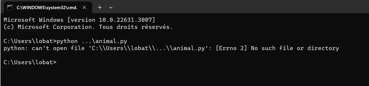 Ouverture fichier python dans invite de commande par DamienLobato - page 1 - OpenClassrooms